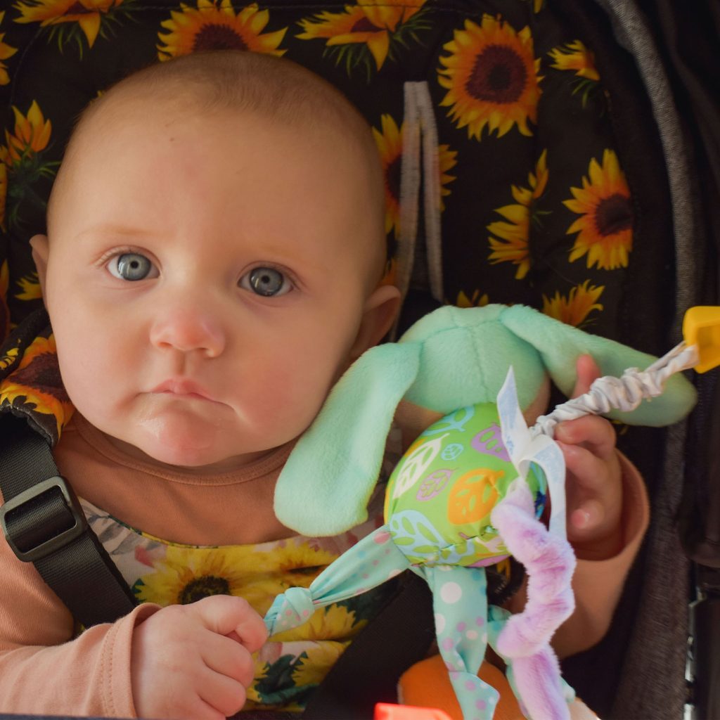 Wonky Wiggler – Refresh – Playgro South Africa